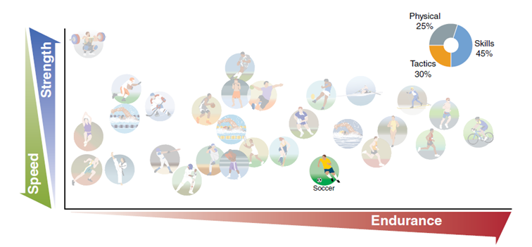 Plantar Pressure Mapping in Football: Player Assessment
